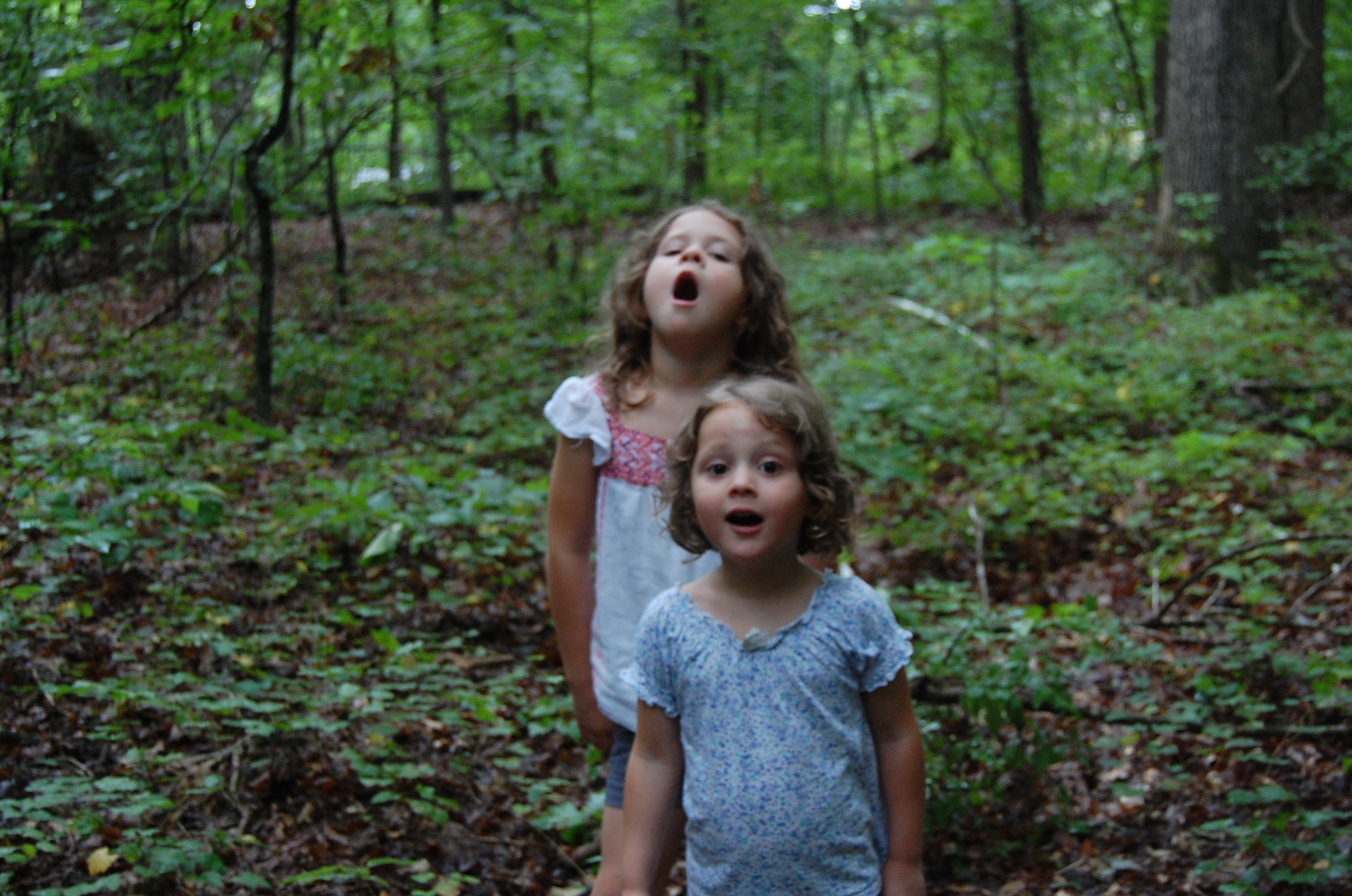 Girls Howling – Tracks and Roots