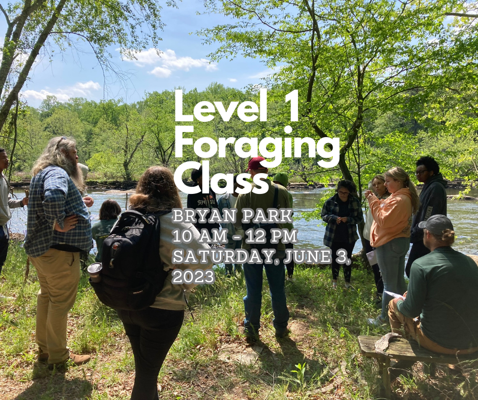 Level 1 Foraging (24)