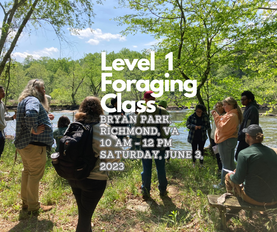 Level 1 Foraging (25)