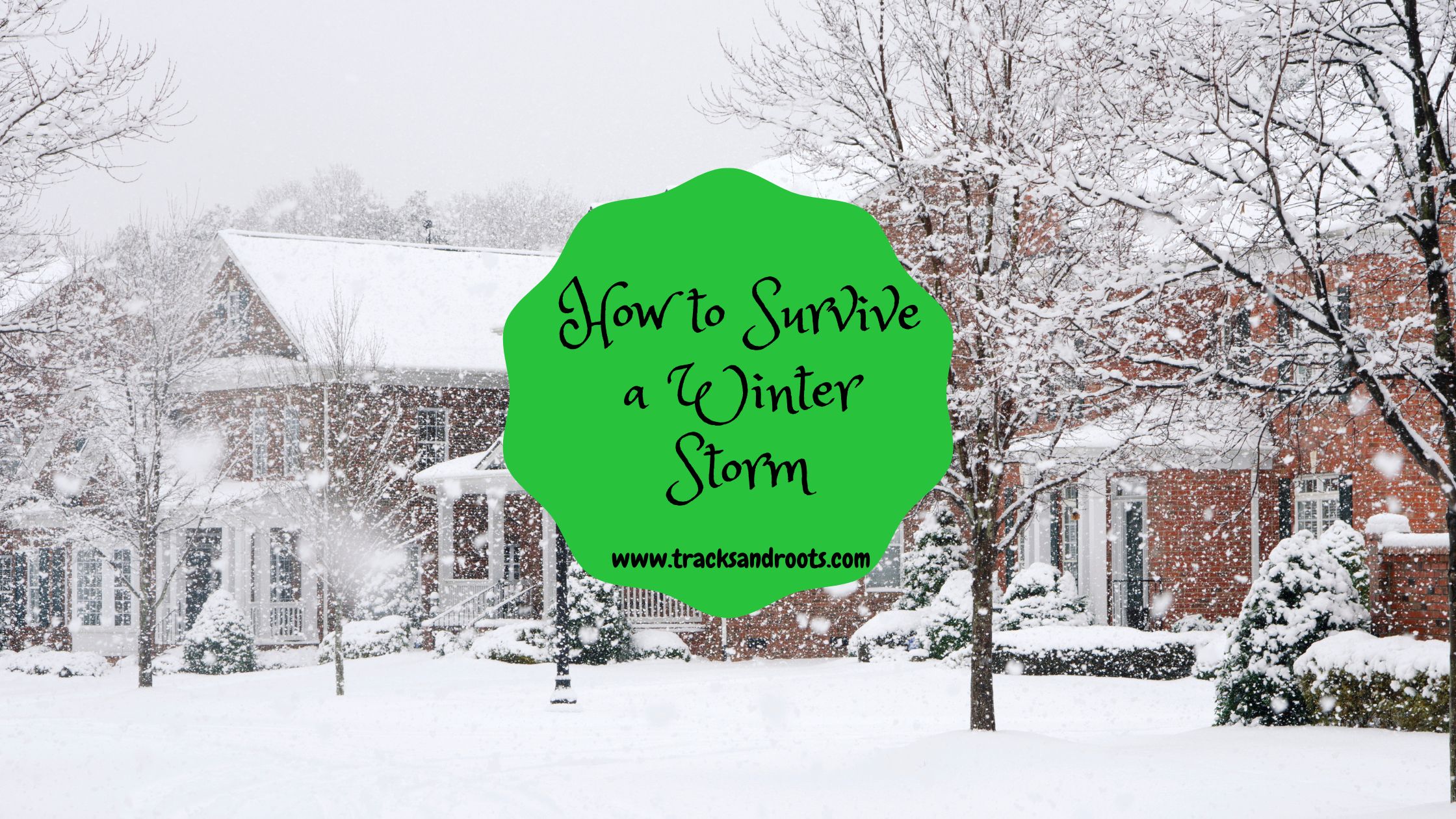 How to Prepare for a Winter Storm